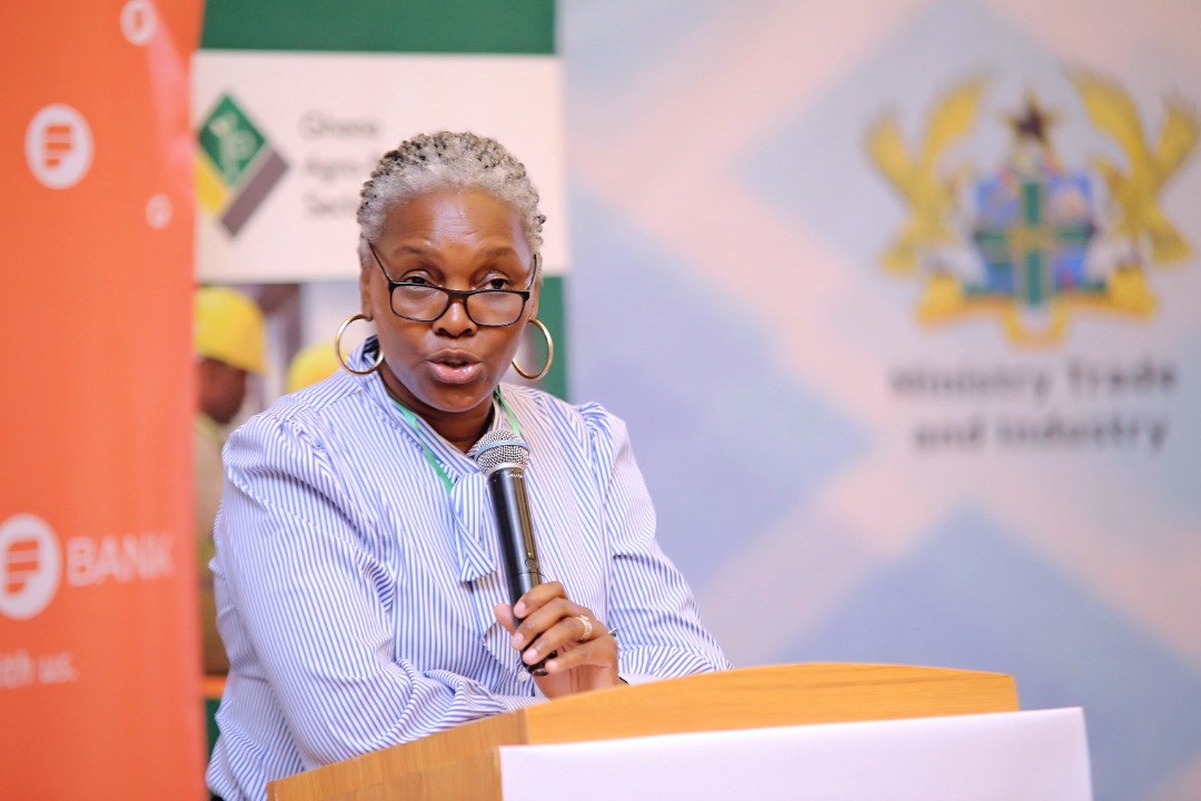 CAROLE RAMELLA SPEAKS AT THE 5TH GHANA INDUSTRIAL SUMMIT & EXHIBITION ...